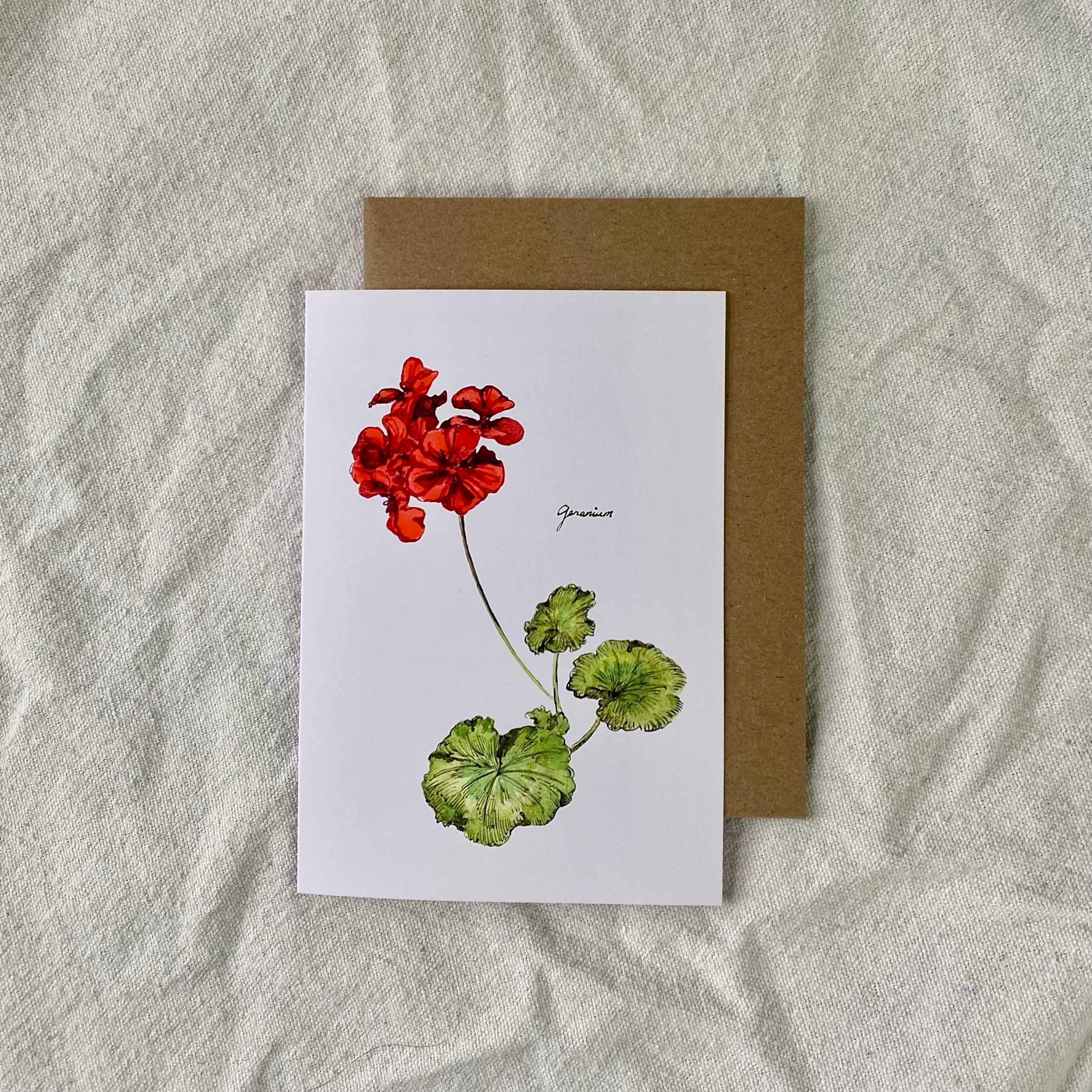 Geranium Cards – Nellie Buchanan Art